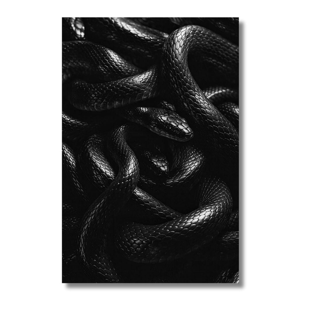 Black Snakes – MR ART 2.0